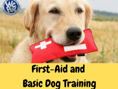 First Aid - Dog Training | Register for Program or Activity | City of ...